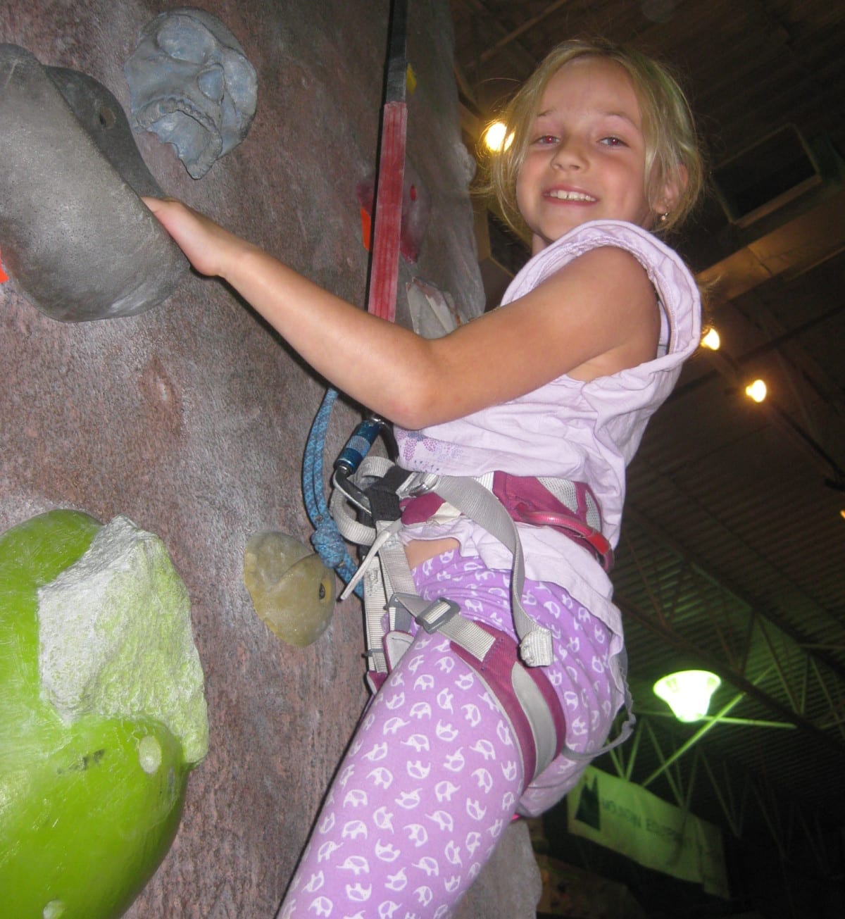 Tadpoles Plus - Vertically Inclined Rock Gym