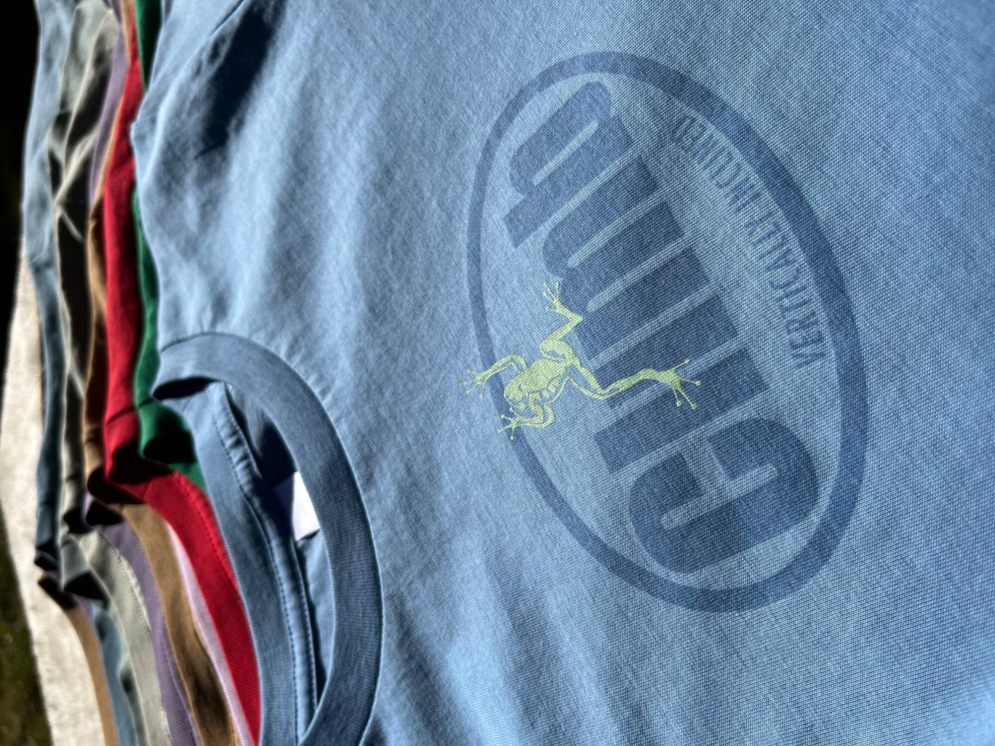 Minty Frog Adult Shirts - Vertically Inclined Rock Gym